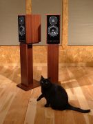 Devore Fidelity Gibbon 3XLs Loudspeakers - Positive Feedback