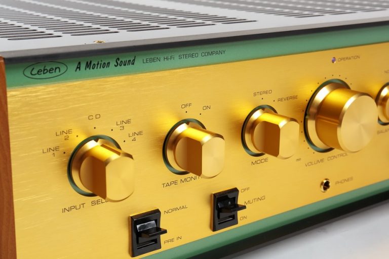 Leben CS600X Integrated Amplifier - Positive Feedback