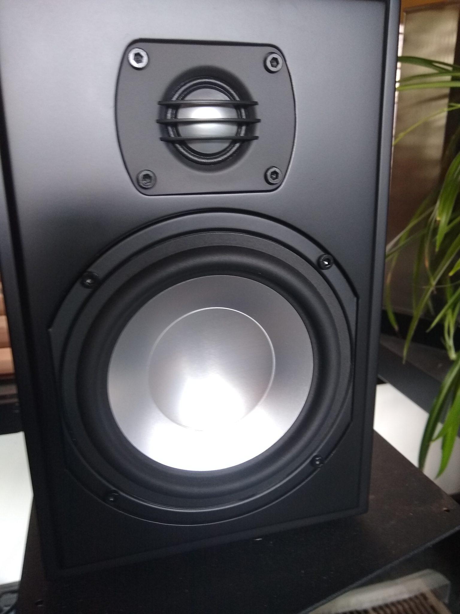 Vanatoo Transparent One Encore - Positive Feedback