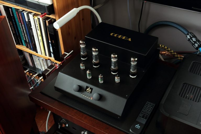 Audio Note Cobra Integrated Tube Amplifier - Positive Feedback